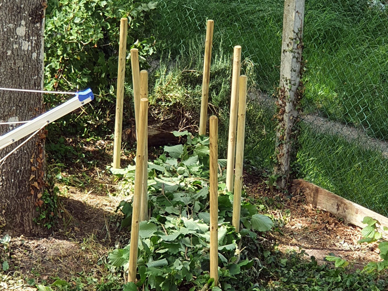 Et hop une haie de Benjes en cours ! | La Chrochro, menus plaisirs d ...